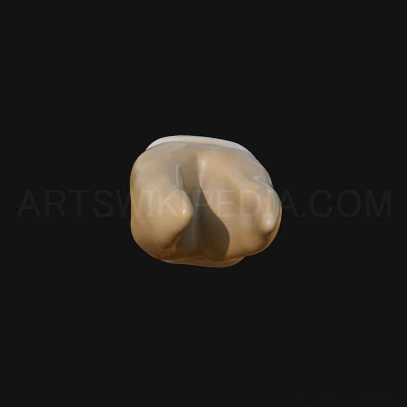 3D Model of mandibular left second molar