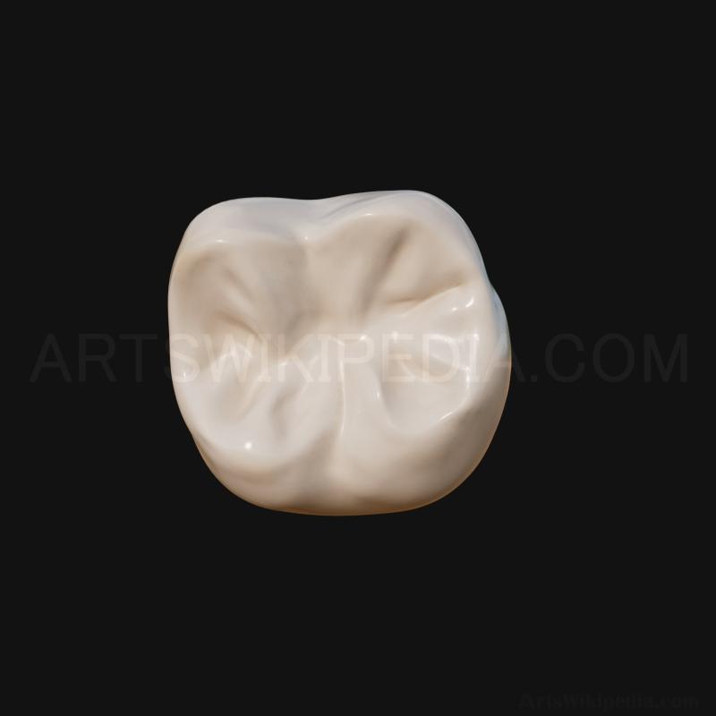 3D Model of mandibular left third molar